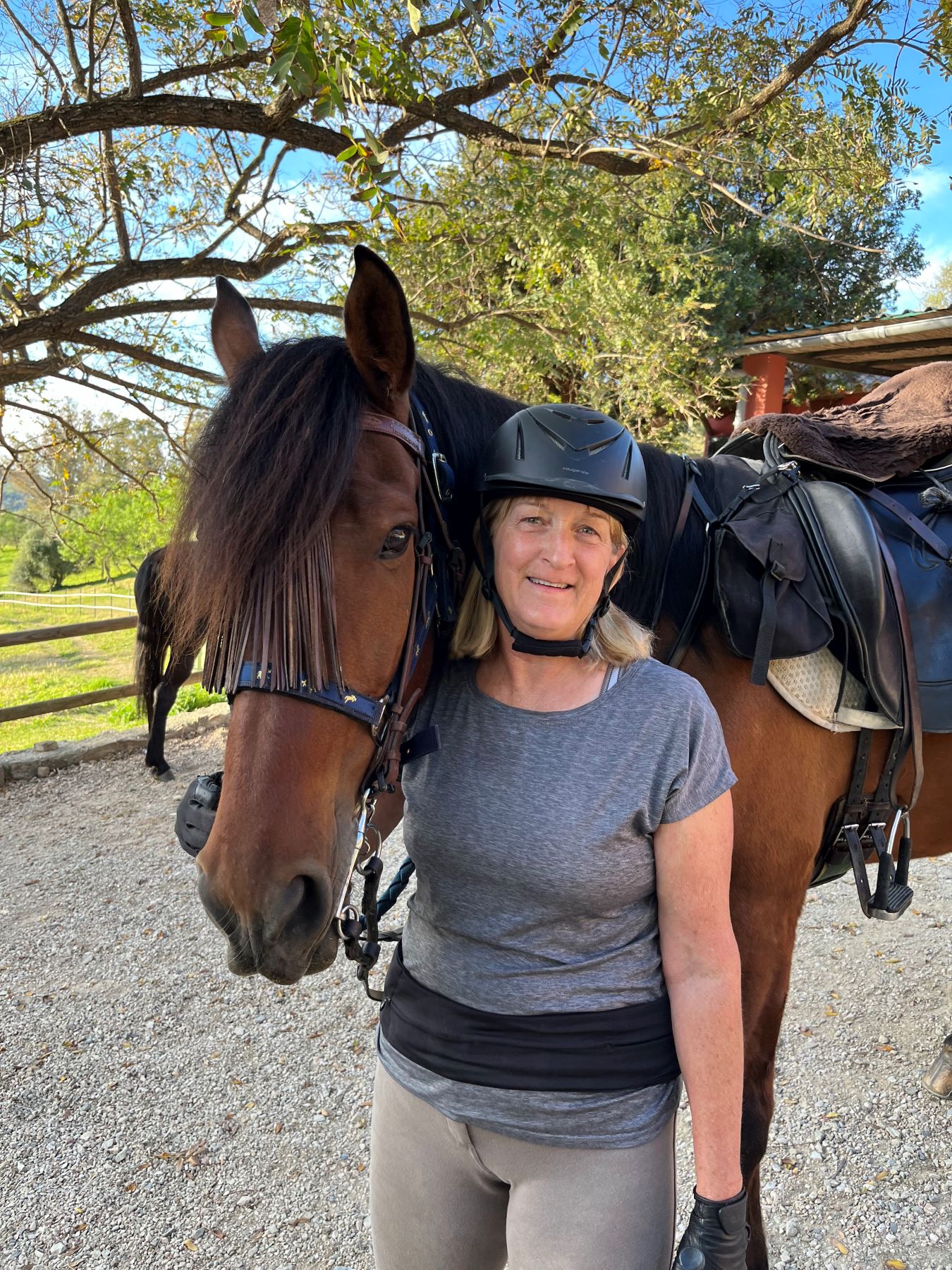 Horse Trekking. A New Layer of Adventure Travel - Humming Along